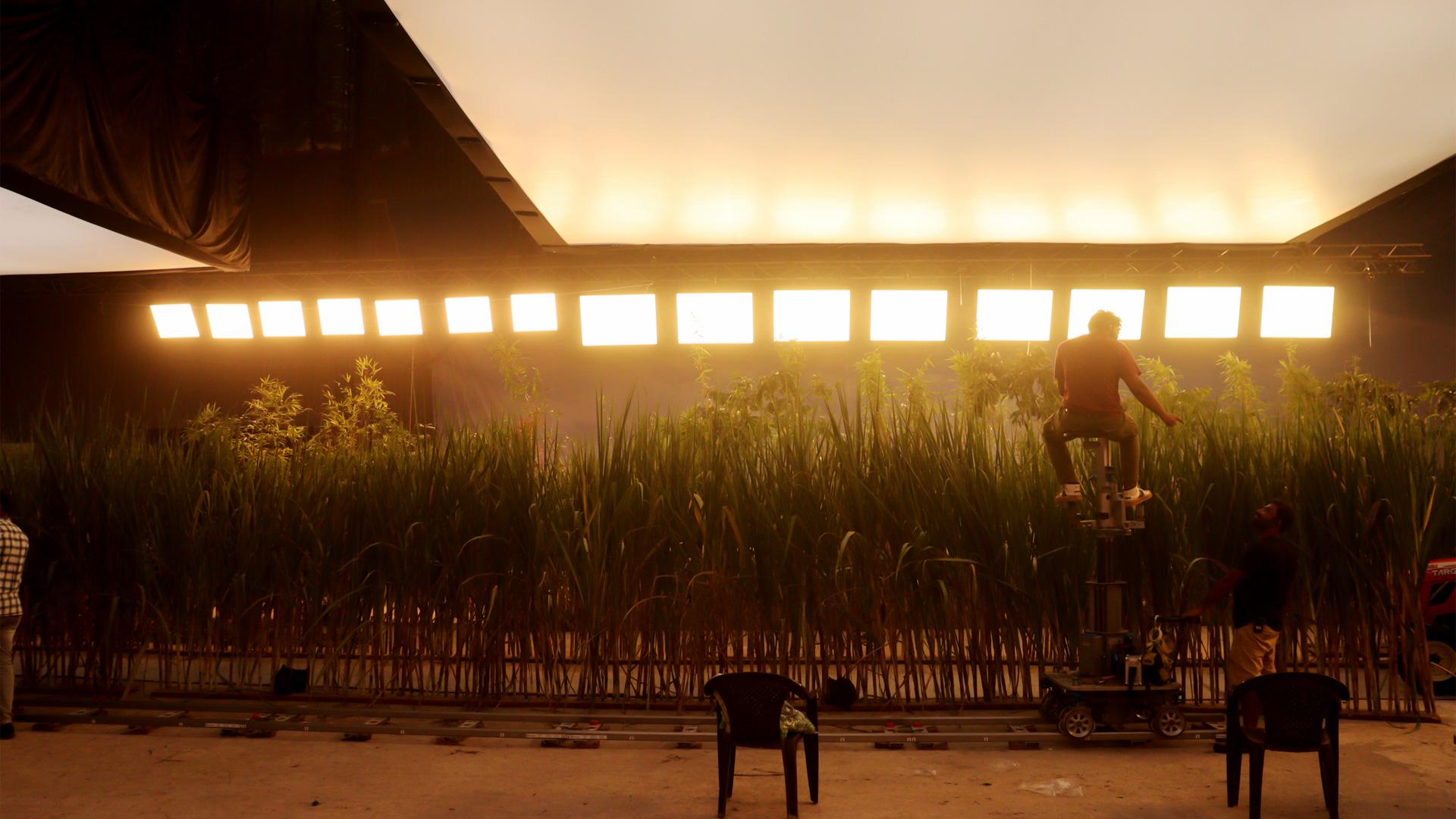 Prolights' EclPanel Shines in TV Commercial with MS Dhoni | Proli...