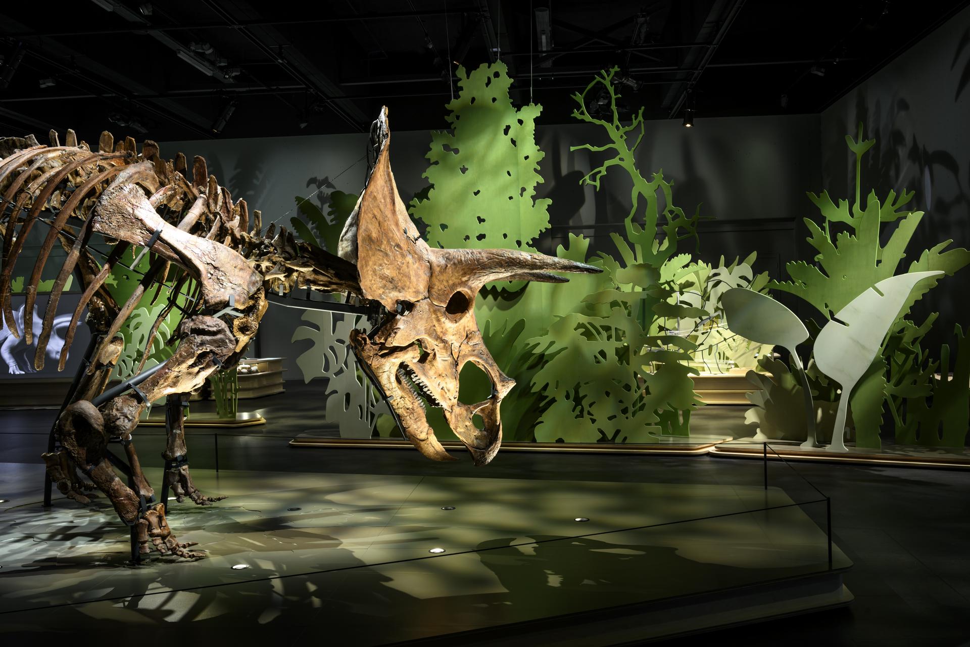 I Proiettori PROLIGHTS Illuminano i Dinosauri al Naturalis Biodiver...