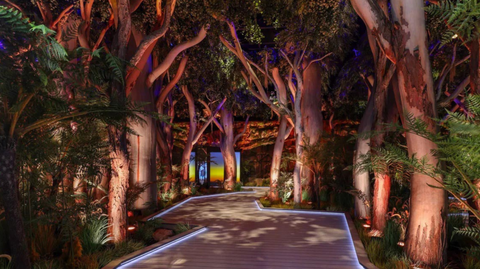 Australia lights up its pavilion at Expo 2025 Osaka with PROLIGHTS ...