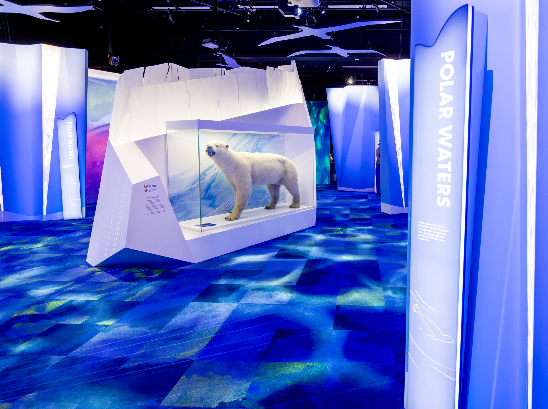 PROLIGHTS lights up Melbourne Museum's ‘Our Wondrous Planet' mult...