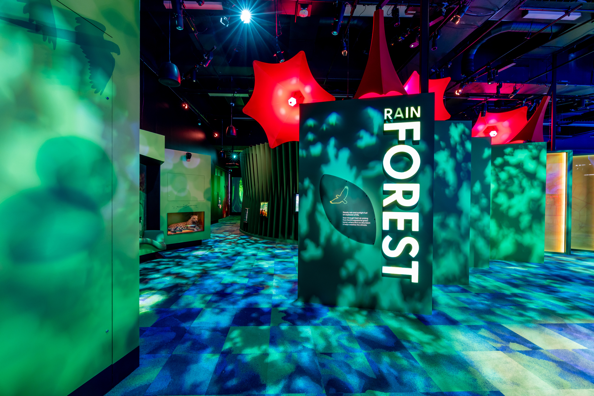 PROLIGHTS lights up Melbourne Museum's ‘Our Wondrous Planet' mult...