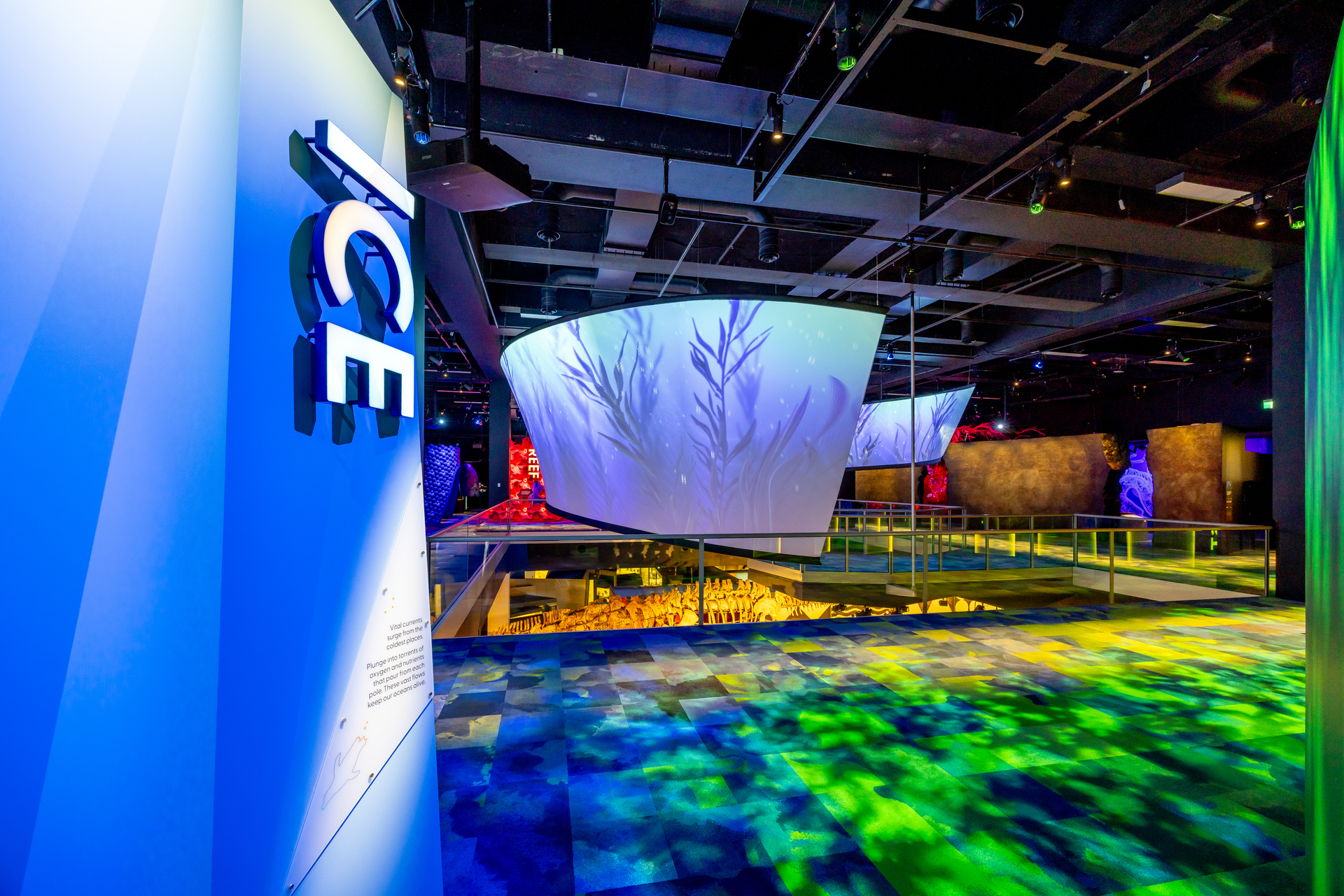 PROLIGHTS lights up Melbourne Museum's ‘Our Wondrous Planet' mult...